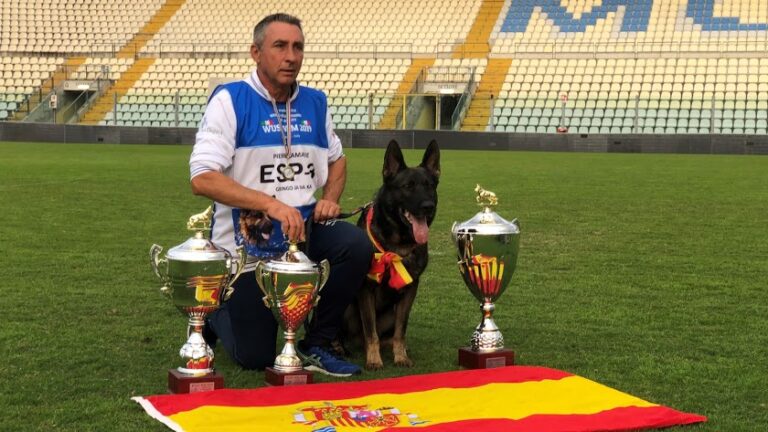 Lerma acogerá el Mundial de Adiestramiento de Perro de Pastor Alemán ...